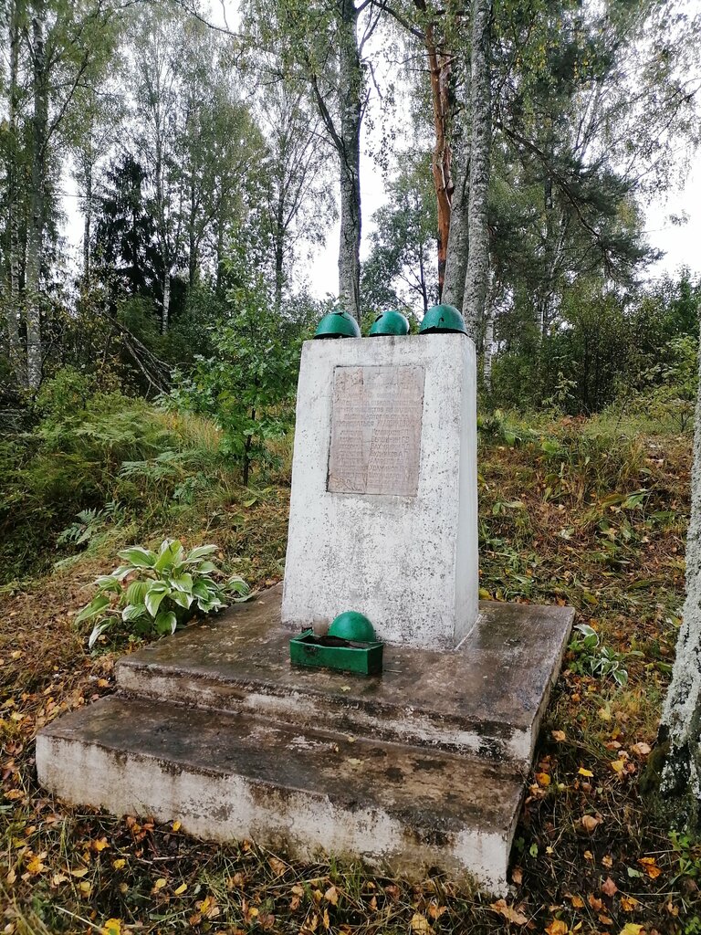 Tatil altyapısı Высота Игловикова, Smolenskaya oblastı, foto