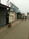 Fortuna jovem comercial (Luanda Province, Municipality of Luanda, Catambor), elektrik ve elektrikli ürün mağazası  Loanda'dan