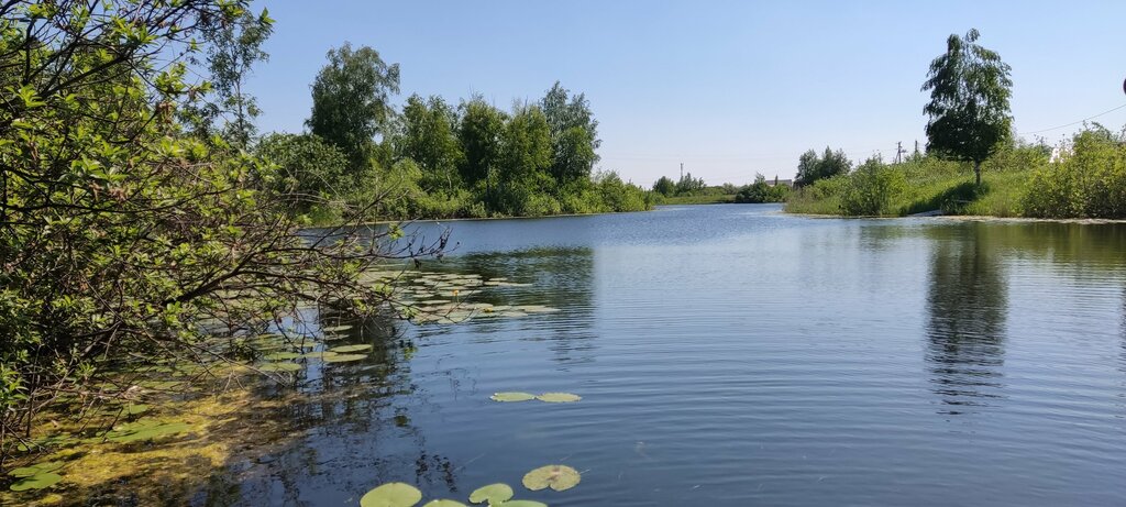 Bahçecilik dernekleri ve kuruluşları Отдых, Novosibirskaya oblastı, foto