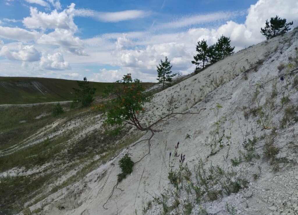 Seyir terası Observation deck, Ulyanovsk, foto