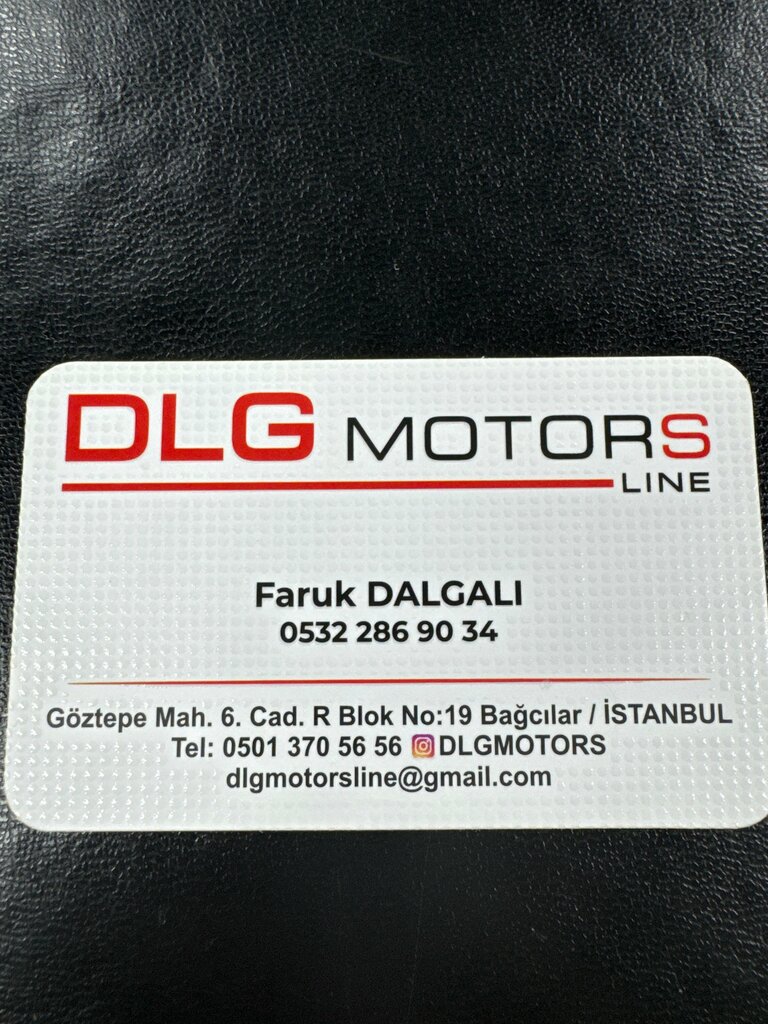 Otomobil fabrikaları Dlg Motors, İstanbul, foto