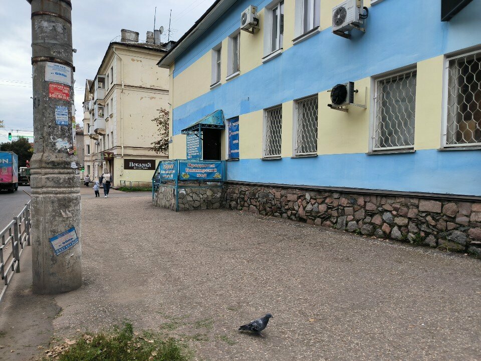 Rehincilik СКС Ломбард, Ufa, foto