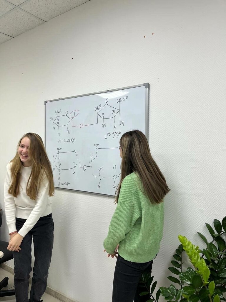 Kurs Великие Химики, Langepas, foto