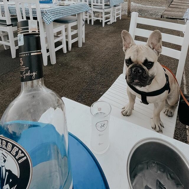 Pansiyonlar, hosteller Orhan Pansiyon, Milas, foto