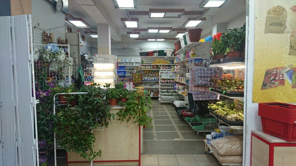 Bahçecilik mağazaları Khozyain, Sosnoviy Bor, foto