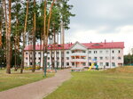 Ptich (Homieĺskaja voblasć, Pietrykawski District, Chaliushchavicki Rural Council, 11), termal otel  Gomelskaya oblastından