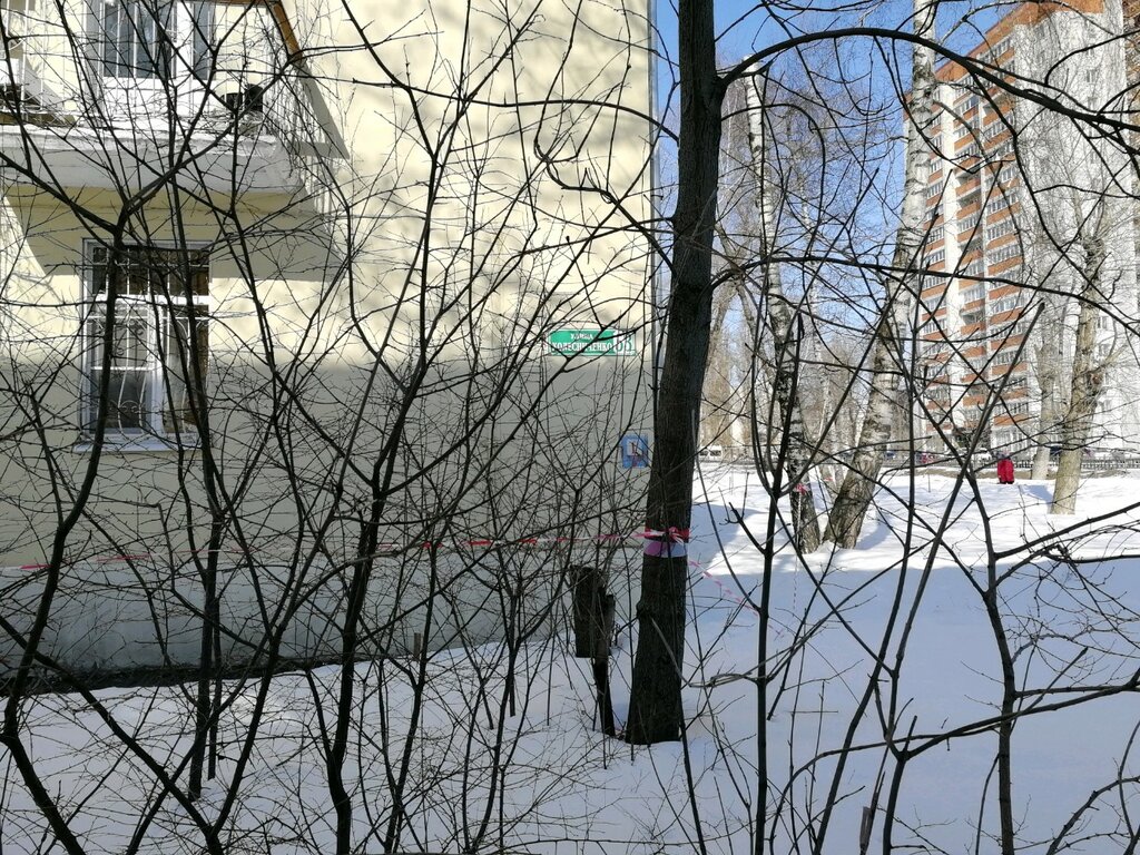 Oyun alanı Playground, Voronej, foto