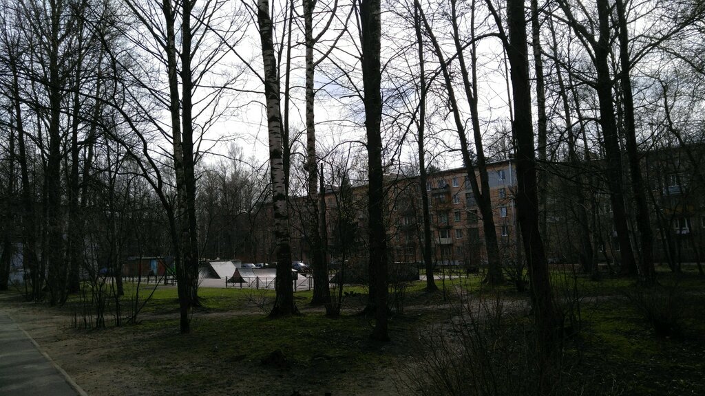 Oyun alanı Детские игровые залы и площадки, Saint‑Petersburg, foto