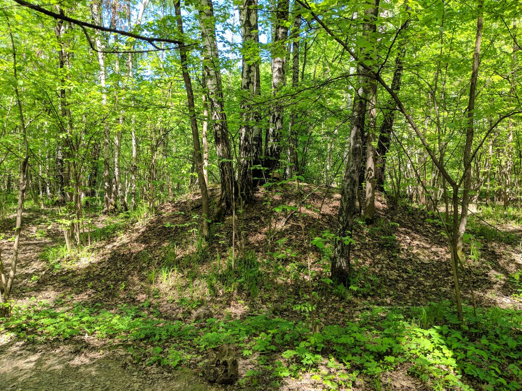 Turistik yerler Курганы вятичей XI-XIII веков., Moskova, foto