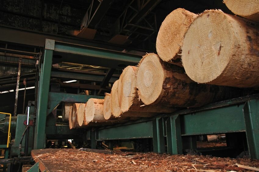 Ahşap endüstrisi TKS A.Ş Kontrplak Fabrikası, Tosya, foto