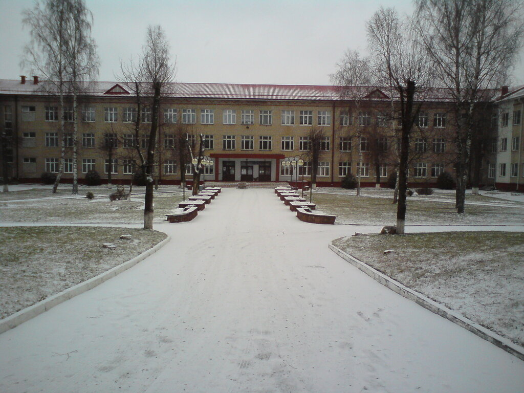 Yüksekokul Litsey Politekhnichesky Professionalny Gosudarstvenny Smorgonsky Uo, Smarhon, foto