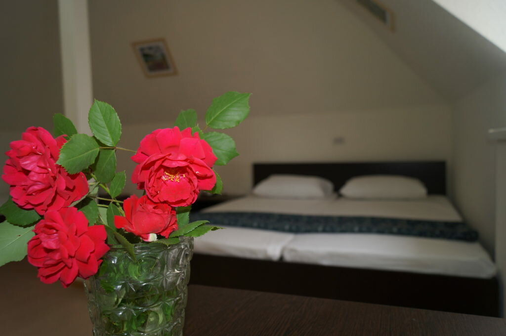 Otel Revital, Rostov‑na‑Donu, foto