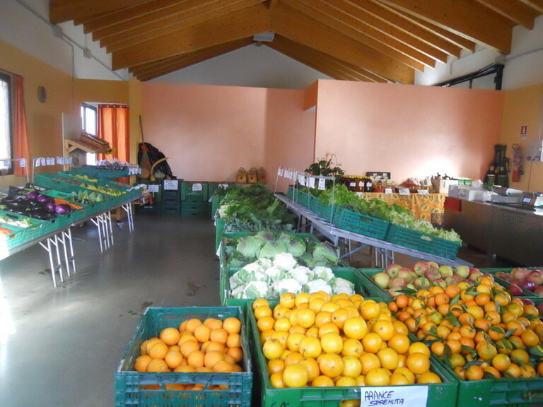 Tarım ürünleri firmaları Azienda Agricola Accordi Renato e Figli, Dünya, foto