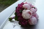 Settedifiori (Emilia-Romagna, Modena), çiçek teslimatı  Modena'dan