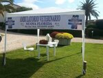 Clinica Veterinaria Nuova Florida del Dott. Giuseppe Agrò (Lazio, Roma, Ardea, Via degli Albicocchi, 1), veteriner klinikleri  Lazio'dan