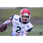 Doves Bologna American Football A. S. D. (Via Agucchi No:119, Calderara di Reno), spor kulüpleri  Bologna'dan