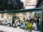 Giardino Parioli (Rome, Via A. Bertoloni), çiçek teslimatı  Roma'dan