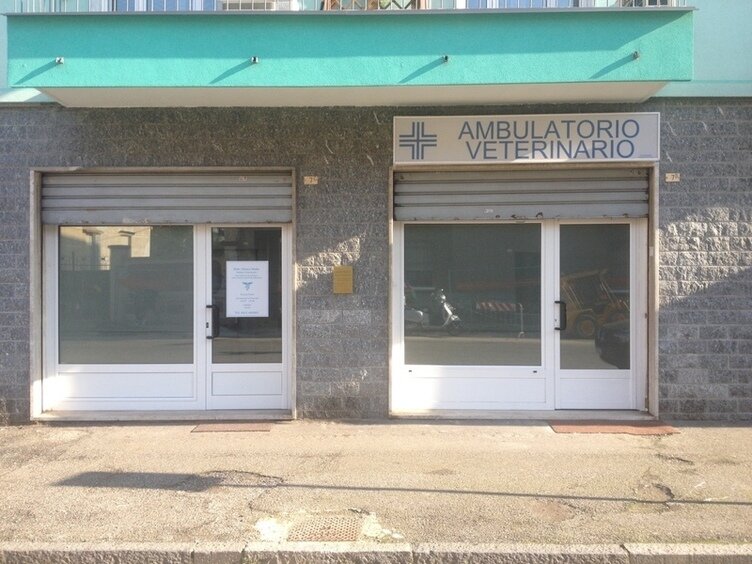 Veteriner klinikleri Ambulatorio Veterinario Motta Chiara, Novara, foto
