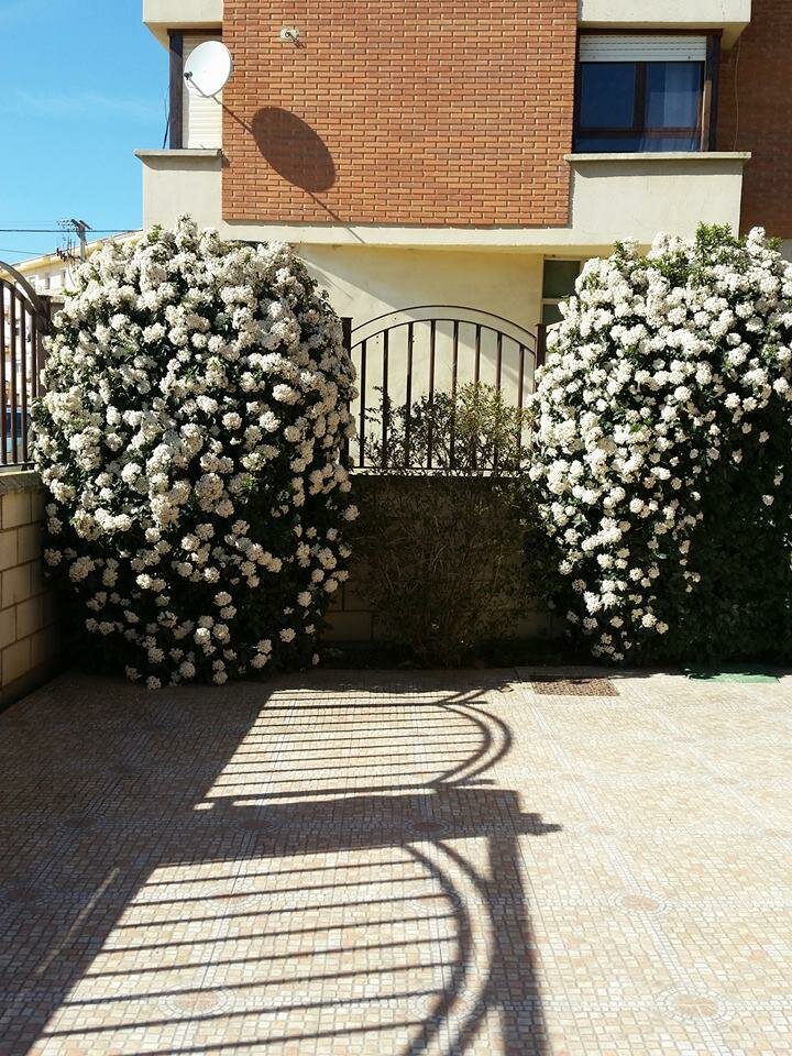 Peyzaj tasarımı Jardinería El Campillo, Navarra, foto