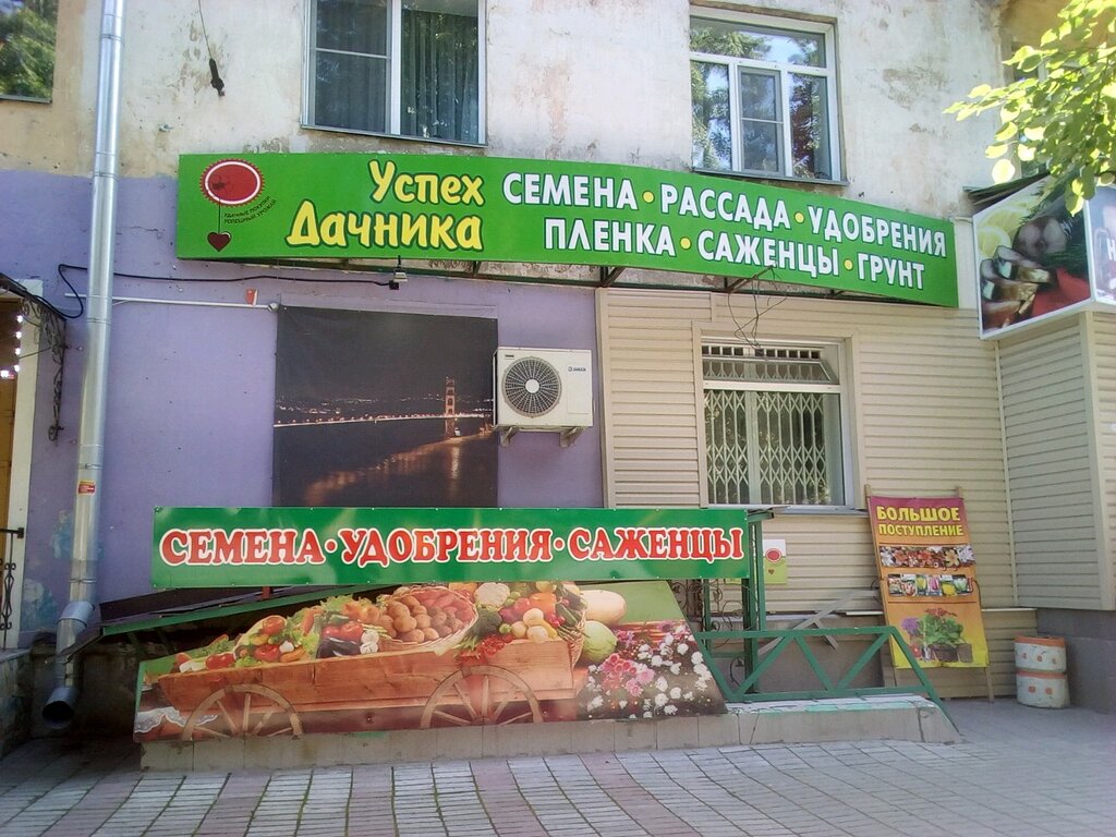 Tohum satan yerler Uspeh dachnika, Novosibirsk, foto