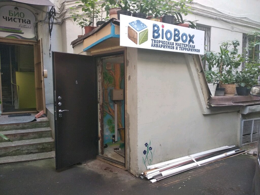 Akvaryumlar BioBox, Moskova, foto