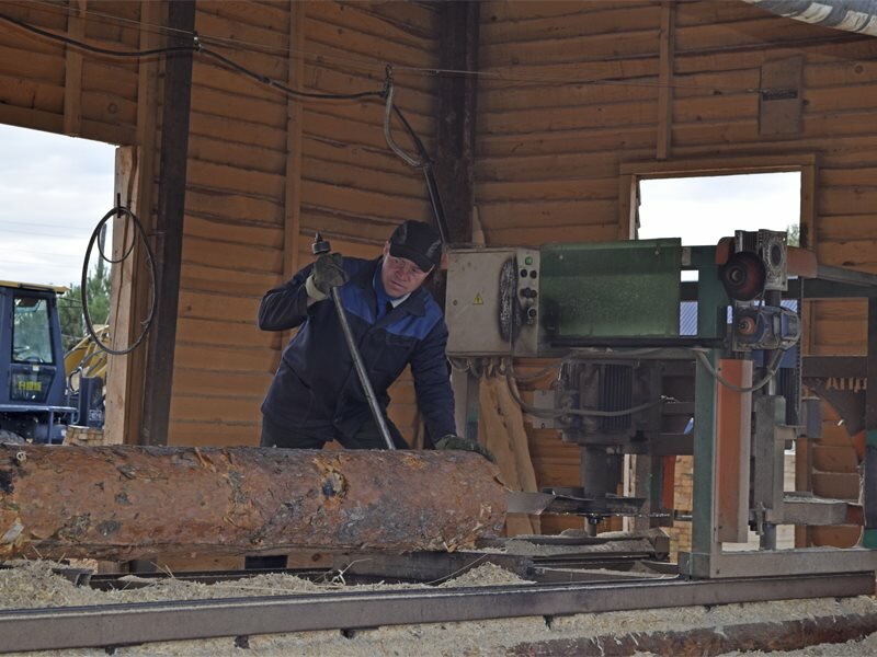 Ahşap endüstrisi Залесовский агролесхоз, Altayski krayı, foto