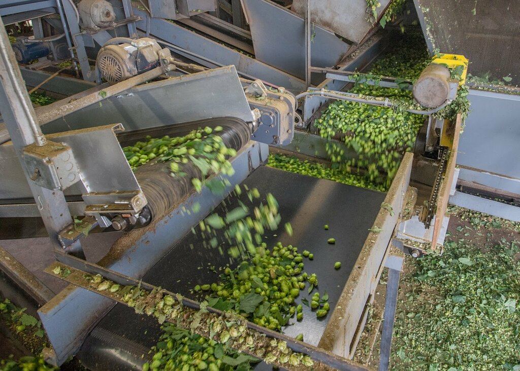 Gıda malzemeleri ve baharatlar Yakima Quality Hops, Moskova, foto