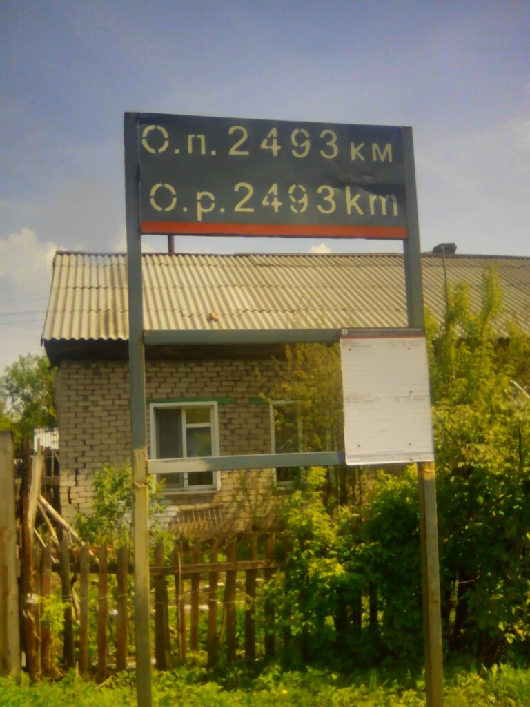 Tren istasyonu остановочный пункт 2493 км, Makuşino, foto