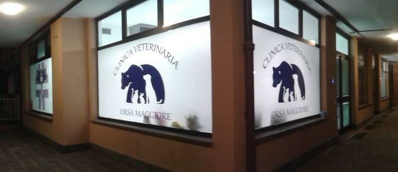 Petshop Clinica Veterinaria Orsa Maggiore, Lombardiya, foto