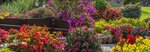 Jardinería Abeto SL (Comunidad Autónoma del País Vasco, Álava Province, Cuadrilla de Vitoria, Calle Portal de Castilla), sera ve bahçe ürünleri  Bask Ülkesi'nden
