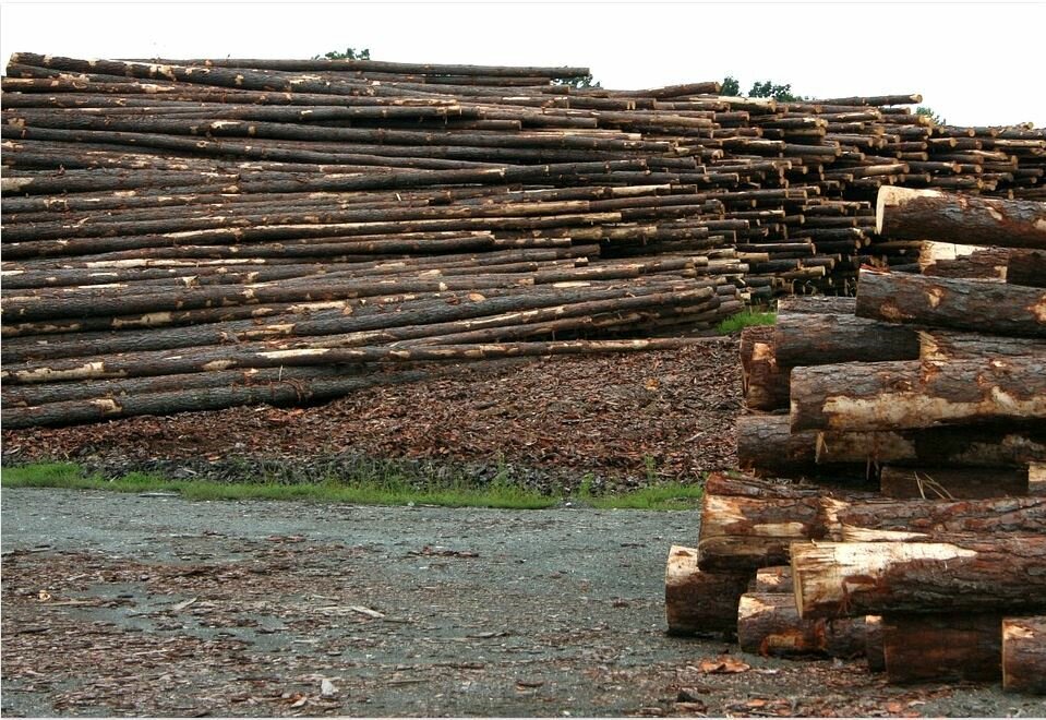 i̇nşaat malzemeleri toptan Jörgenmühle Agrarhandel & Sägewerk GmbH & Co. Kg, Bavyera, foto