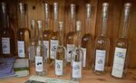 Weinbauer Michael Zinner (Bavaria, Schweinfurt, Seestraße, 12), şarap ve içki toptan satışları  Bavyera'dan