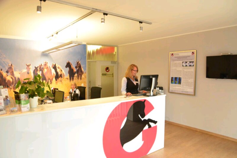 Veteriner klinikleri Pferdeklinik Großwallstadt, Bavyera, foto