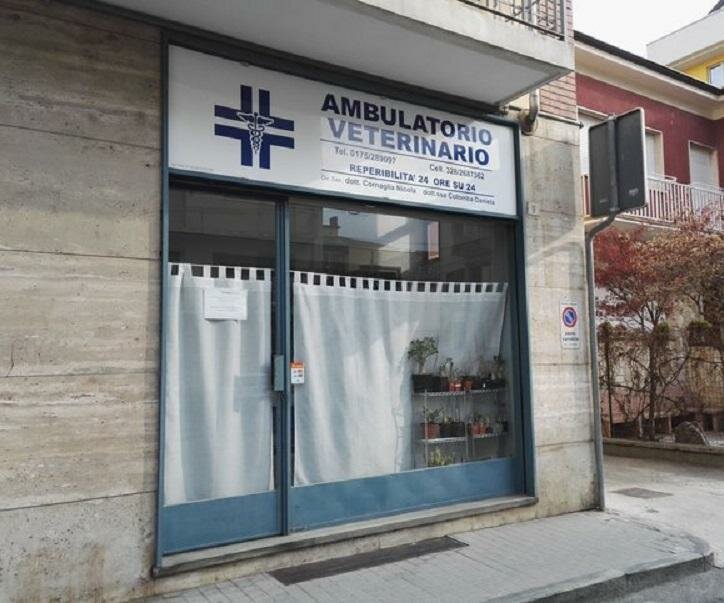Veteriner klinikleri Ambulatorio Veterinario Associato Colomba e Cornaglia, Piyemonte, foto