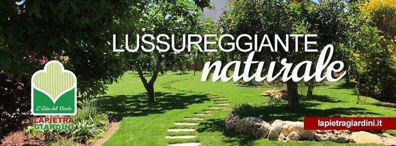 Çiçek teslimatı Lapietra Giardini S. R. l, Puglia, foto