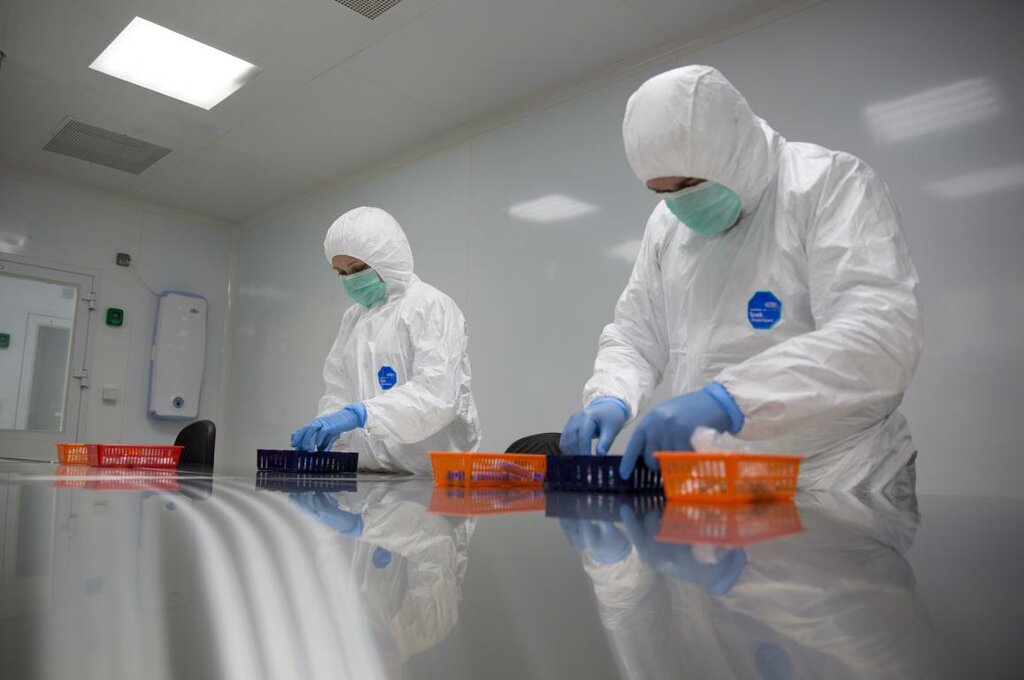 Sanayi kuruluşu SteriPack Service, Moskova, foto