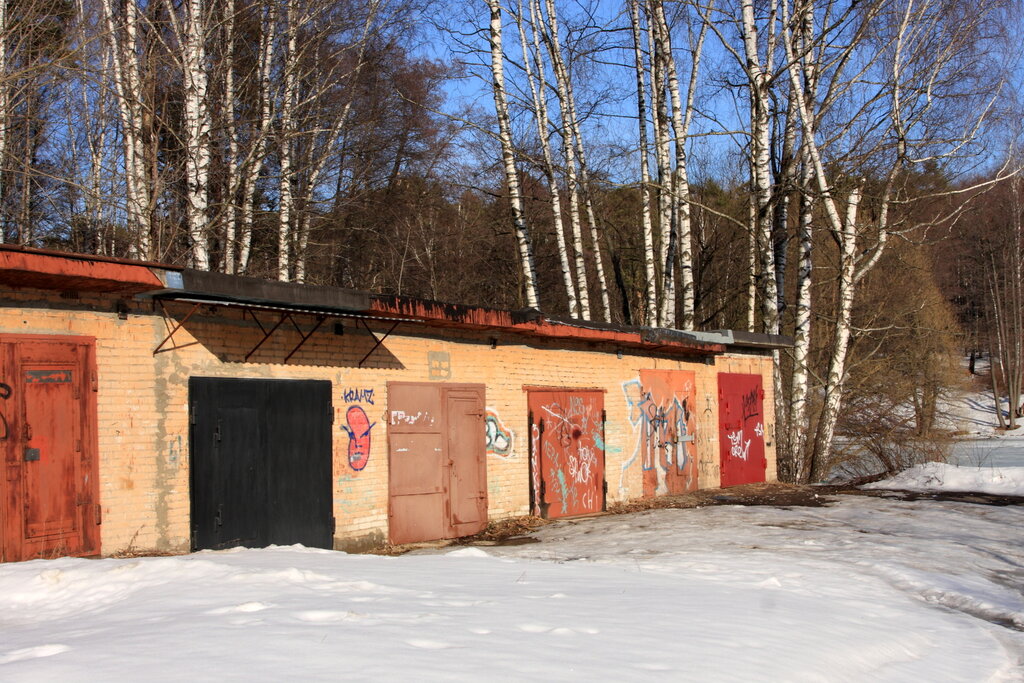 Garajlar Парковый, Moskova ve Moskovskaya oblastı, foto