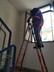 Impresa di pulizie De Luna - Pulizia civile e industriale e giardinaggio (Campania, Avellino, Via Tuori, 12), peyzaj tasarımı  Campania'dan