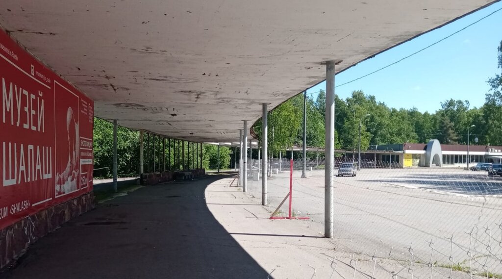 Piknik alanı Место для пикника, Sestroretsk, foto