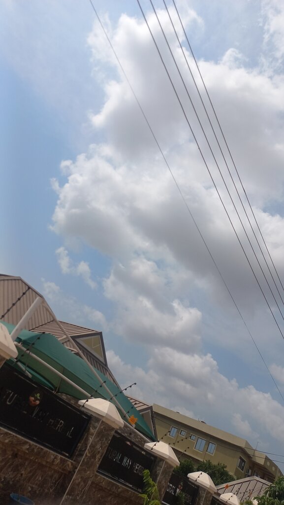 Alternatif tıp merkezleri Natural Way Herbal Clinic, Akra, foto