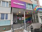 Wildberries (Skhodnenskaya Street No:31, Putilkovo Village), teslimat noktası  Moskova ve Moskovskaya oblastından