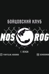 Nosorog (Dzerzhinskogo Street No:30), spor kulüpleri  Penza'dan