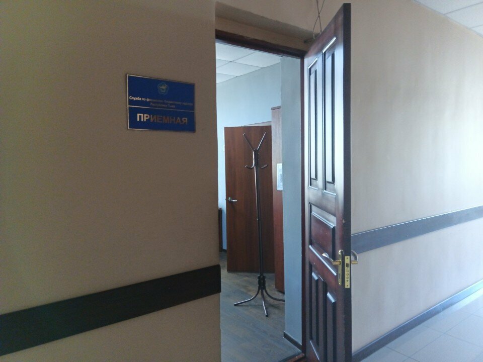 Devlet denetim organları Служба по финансово-бюджетному надзору Республики Тыва, Kızıl, foto