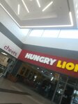 Hungry lion (No:21875B, Lusaka North Forest), kafe  Lusaka'dan