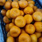 Bodrum Mandalini (Ortakentyahşi Mah., Müskebi Cad., No:145, Bodrum, Muğla), tarım firmaları  Bodrum'dan