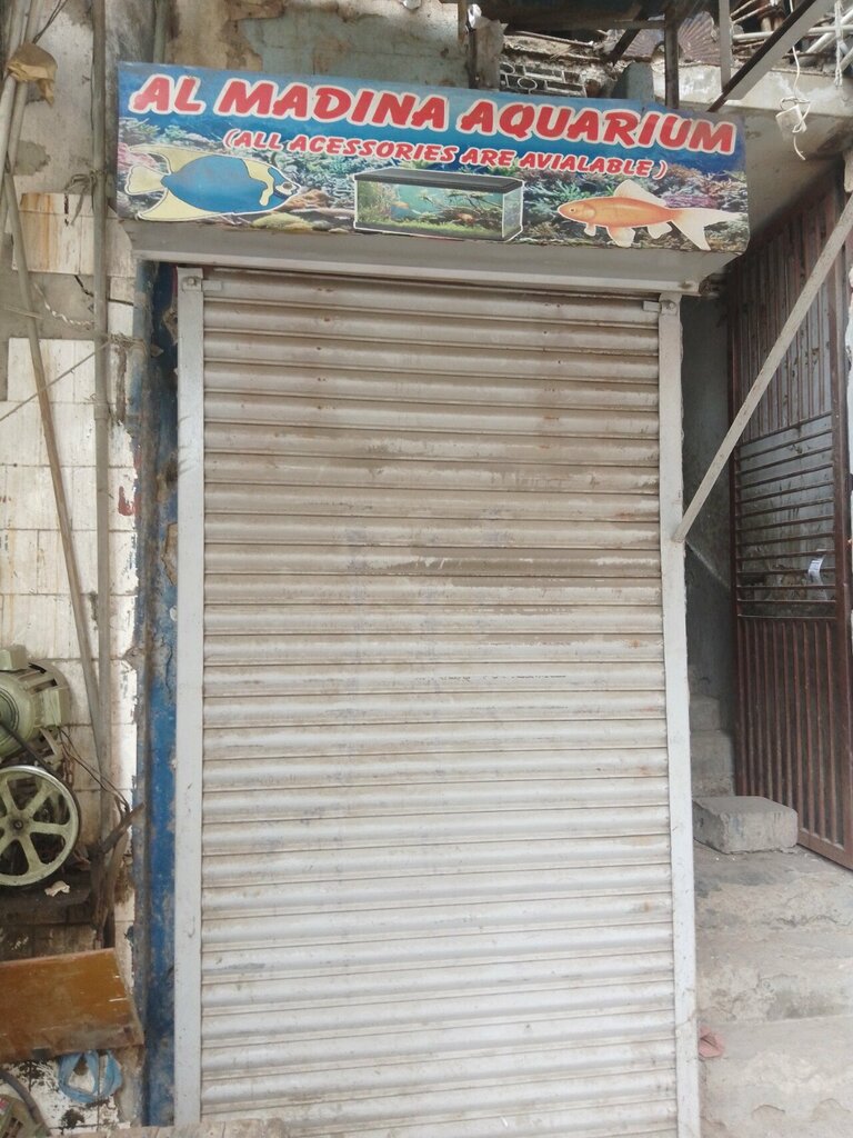 Balık ve deniz ürünleri Al Madina aquarium, Karaçi, foto