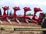 Aydin Pulluk (Aydın, Efeler, Afrodisias Blv., 11), tarım makineleri, ekipmanlar  Efeler'den
