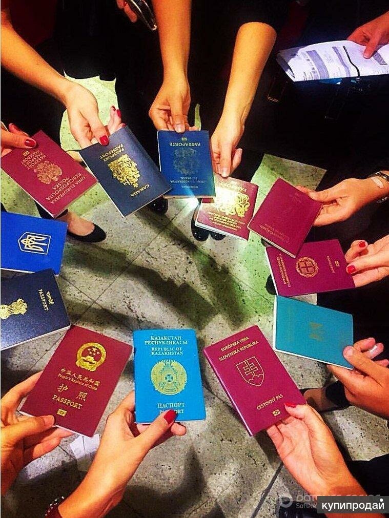 Tercüme büroları Çeviri Bürosu, Moskova ve Moskovskaya oblastı, foto