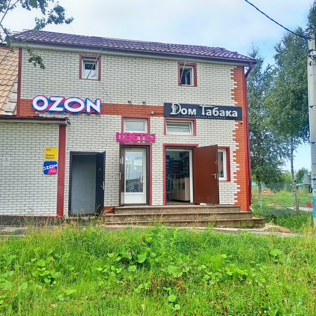 Çiçekçiler Цветы, Moskova ve Moskovskaya oblastı, foto