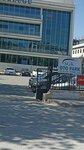 Sgk Otopark (Sarıgüllük Mah., Şehitkamil, Gaziantep), otopark alanı  Gaziantep'ten
